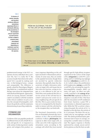 GUNA aplicado en procesos inflamatorios | PDF