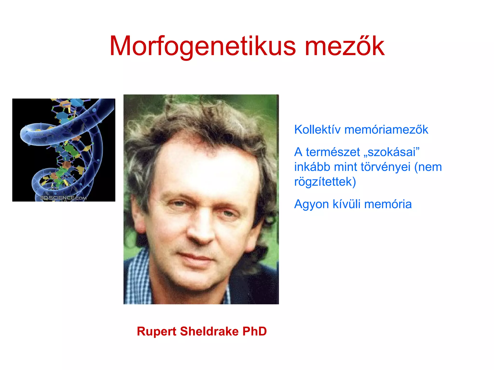 Gunagriha puskás | PPT