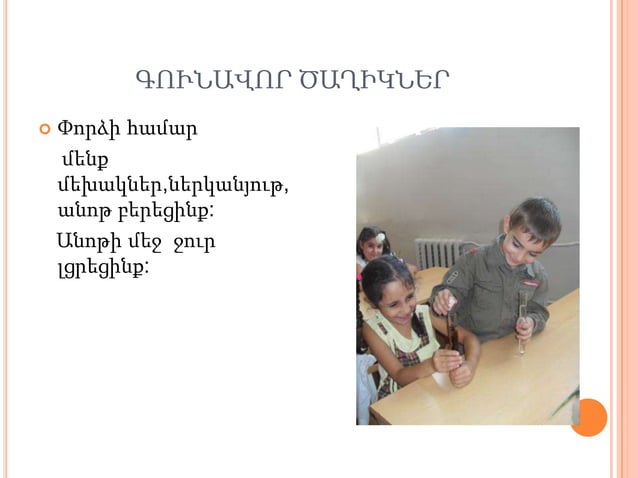 Gunavor caxikner bnagitakan porc | PPT