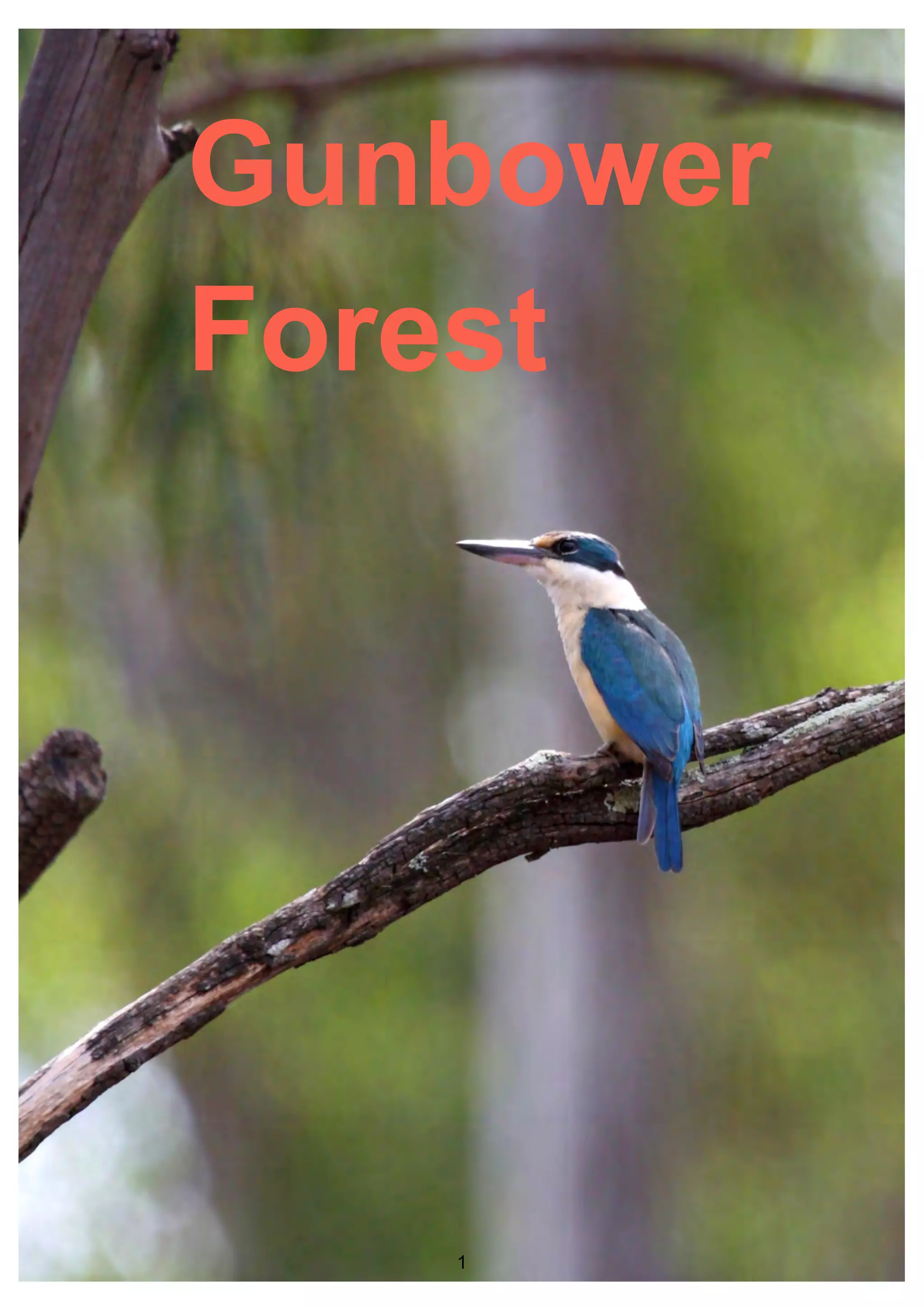 Gunbower forest environmental watering resource booklet. | PDF