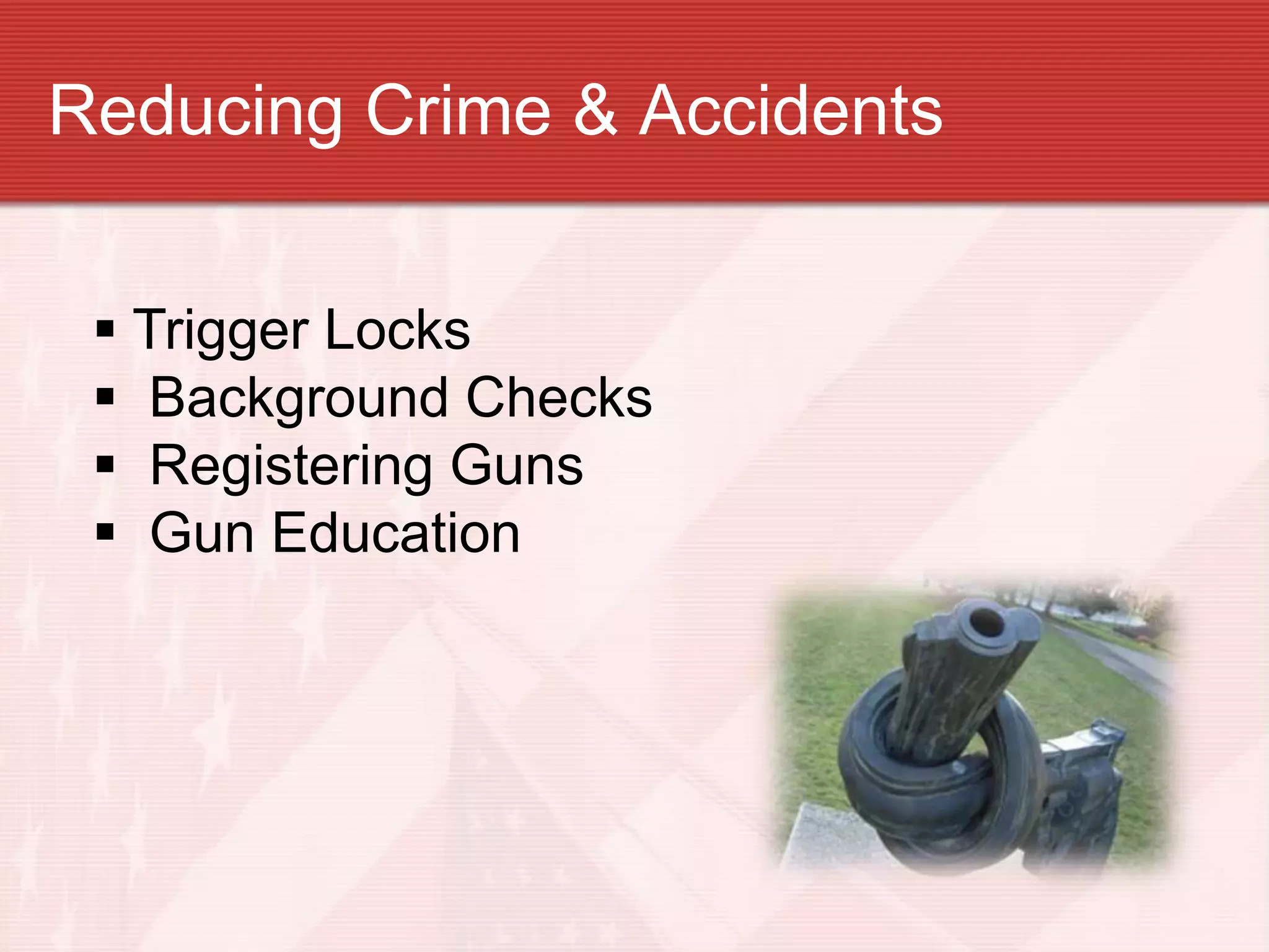 Gun+control+presentation | PPTX