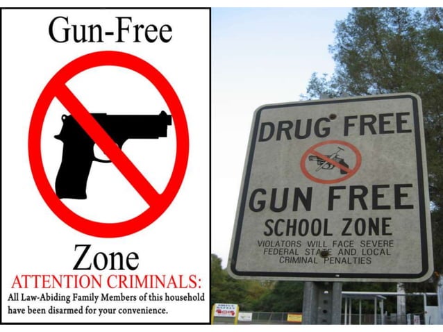 Gun control vs gun rights | PPTX