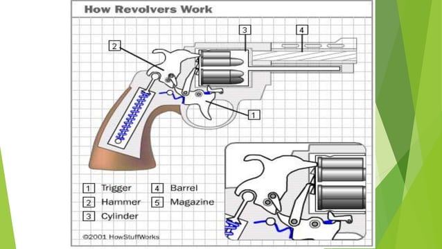 Gun dynamics | PPT