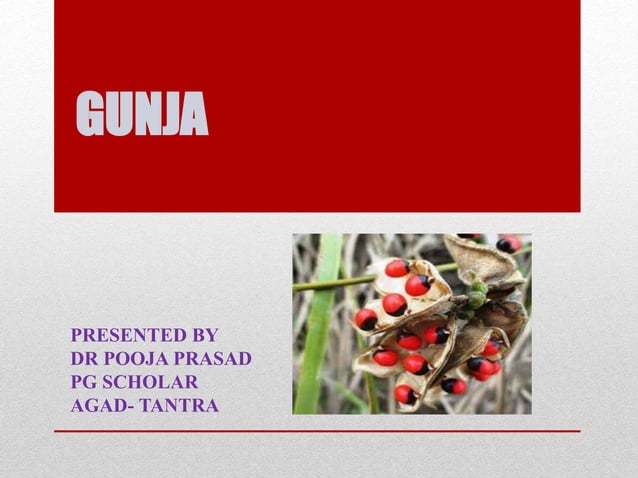 GUNJA.pptx | Digestive Disorders | Diseases and Conditions