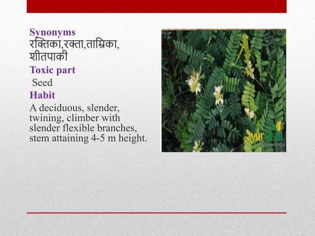 GUNJA.pptx | Digestive Disorders | Diseases and Conditions