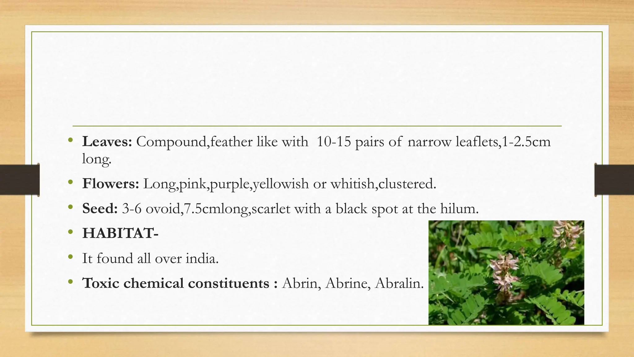 gunja drug adada tantra and forensic science pptx .. | PPTX