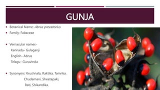 Gunja and JAyapala-83.pptx useful for all students | PPTX