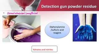 GUN POWDER | PPTX