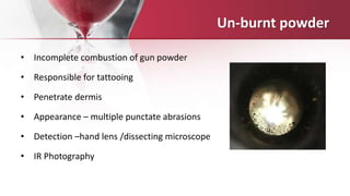GUN POWDER | PPTX