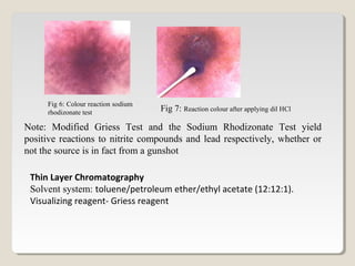 Gunshot residue, forensic analysis and interpretation ppt 03 | PPT