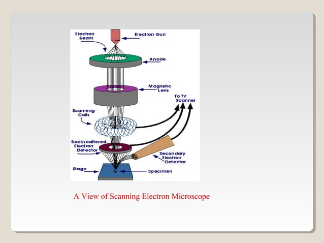 Gunshot residue, forensic analysis and interpretation ppt 03 | PPT ...