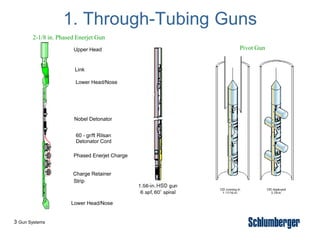 Gun Systems.pdf | Arms & Ammunition | Sensitive Topics