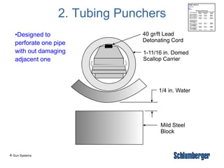 Gun Systems.pdf | Arms & Ammunition | Sensitive Topics