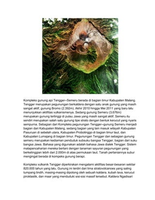 Artikel Gunung bromo dan kaldera tengger | DOCX