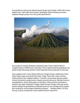 Artikel Gunung bromo dan kaldera tengger | DOCX