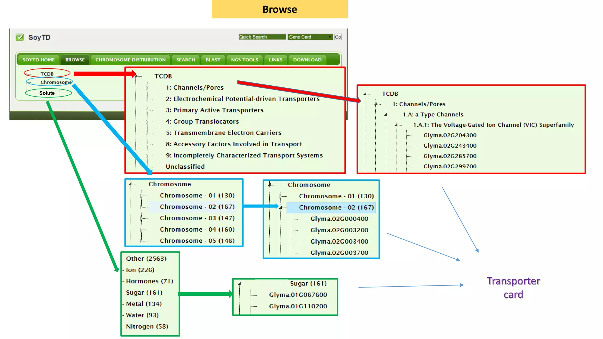 Gunvant transporter database pag 2016 v2 | PPT