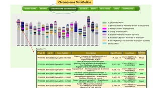 Gunvant transporter database pag 2016 v2 | PPT