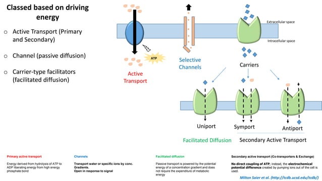 Gunvant transporter database pag 2016 v2 | PPT