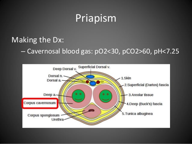 Urologic Procedures in the Emergency Department