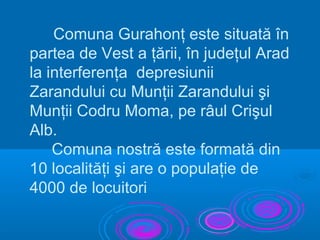 Gurahont2 | PPT