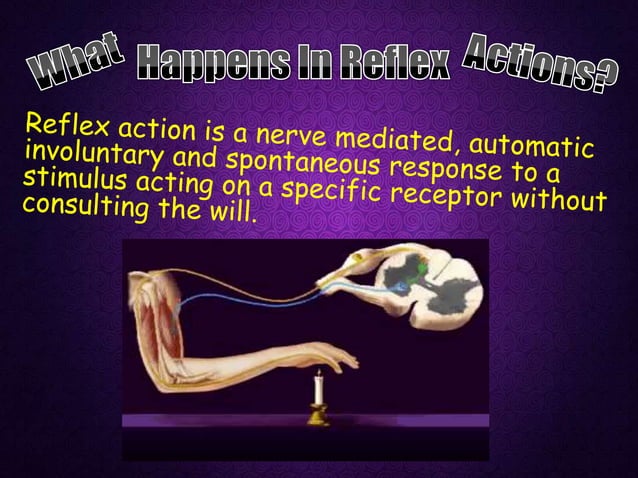 control and coordination | PPTX