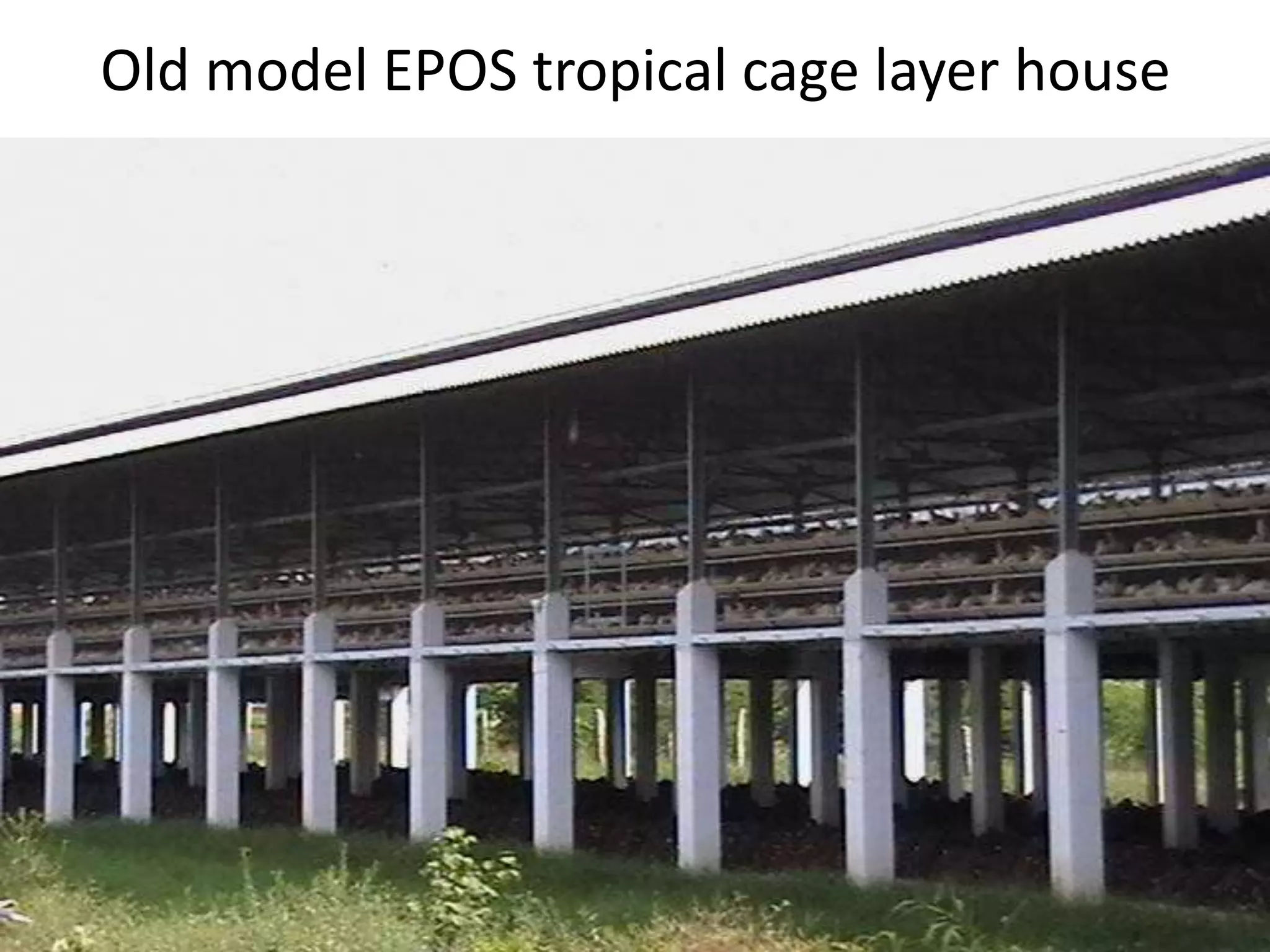 Poultry Housing | PPTX