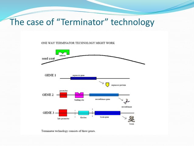 GURT (Genetic use restriction technology) | PPTX | Agriculture | Industries