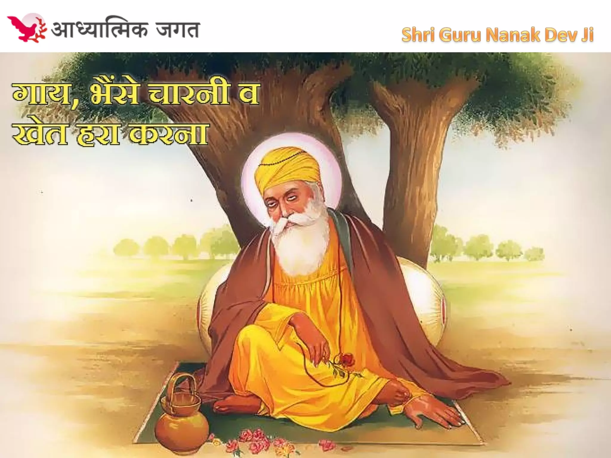 Shri Guru Nanak Dev Ji Sakhi - 011a | PPT