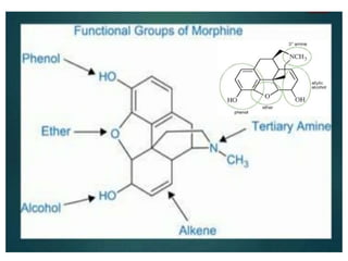 Morphine Functional Groups