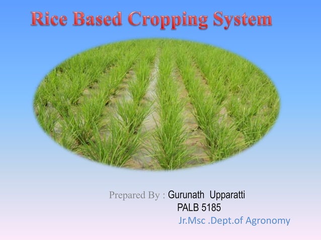 Rice based cropping system | PPTX | Agriculture | Industries