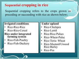 Rice based cropping system | PPTX