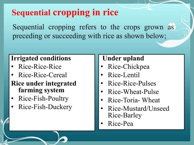 Rice based cropping system | PPTX | Agriculture | Industries
