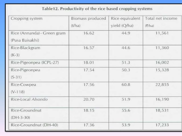 Rice based cropping system | PPTX | Agriculture | Industries