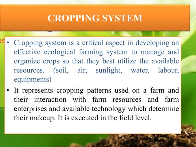 Rice based cropping system | PPTX | Agriculture | Industries