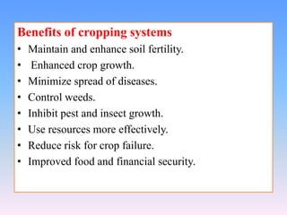 Rice based cropping system | PPTX