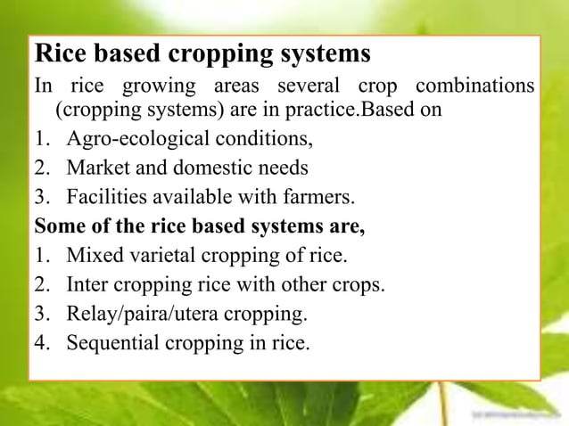 Rice based cropping system | PPTX | Agriculture | Industries
