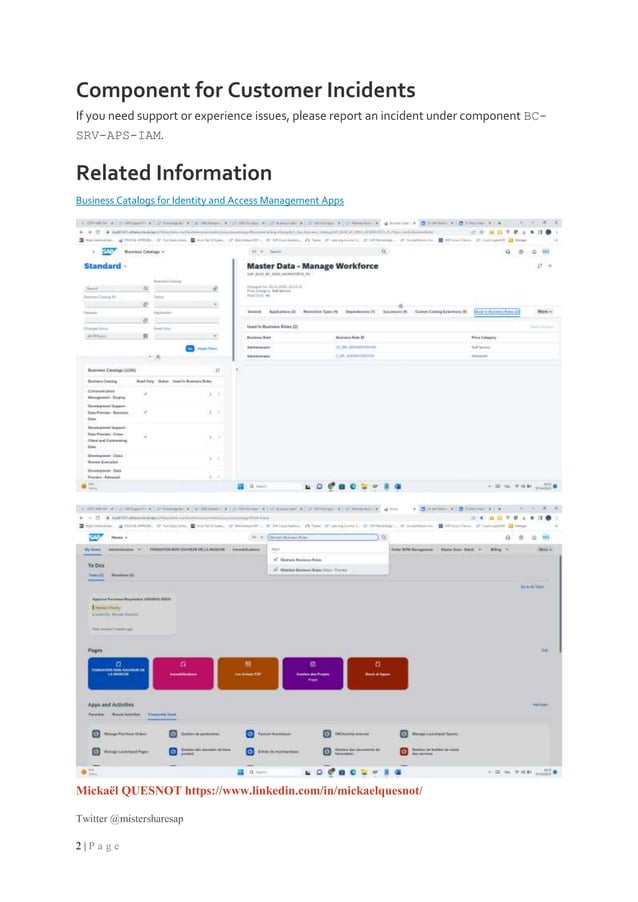 GU_SAP S4 HANA CLOUD_Maintain Business Roles.docx