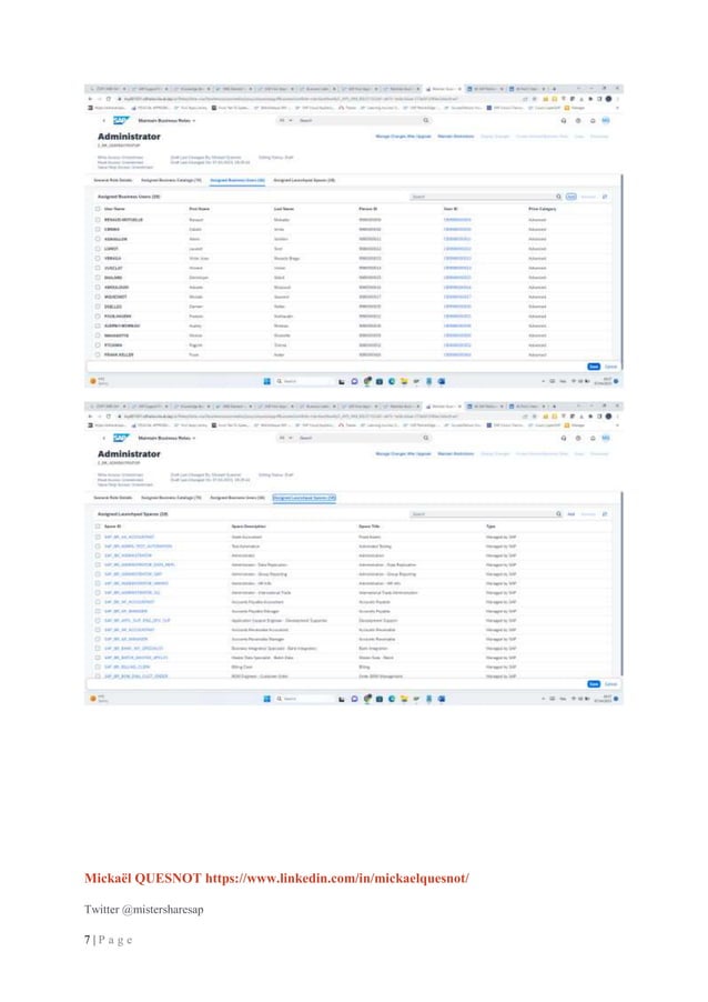 Gu Sap S4 Hana Cloud Maintain Business Roles Docx