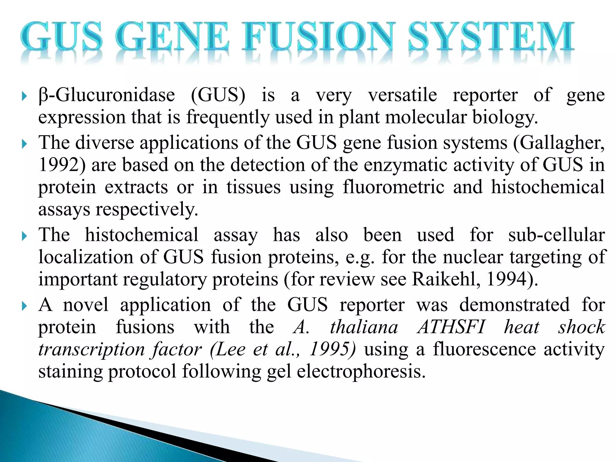 Gus staining and reporter gene | PPTX