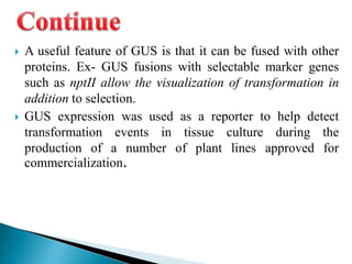 Gus staining and reporter gene | PPTX