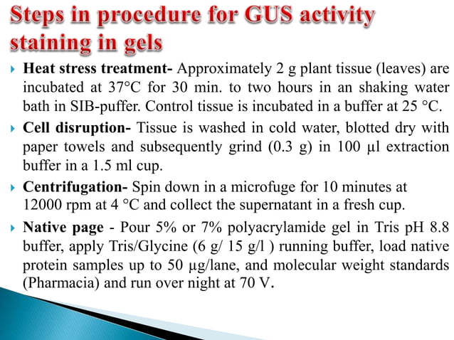 Gus staining and reporter gene | PPTX