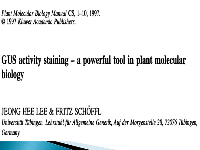 Gus staining and reporter gene | PPTX