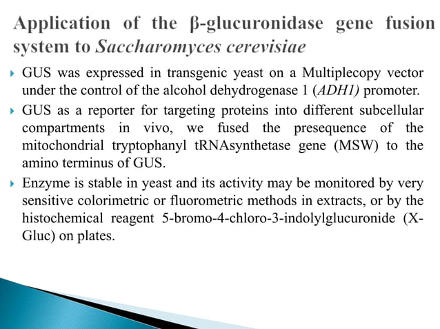 Gus staining and reporter gene | PPTX
