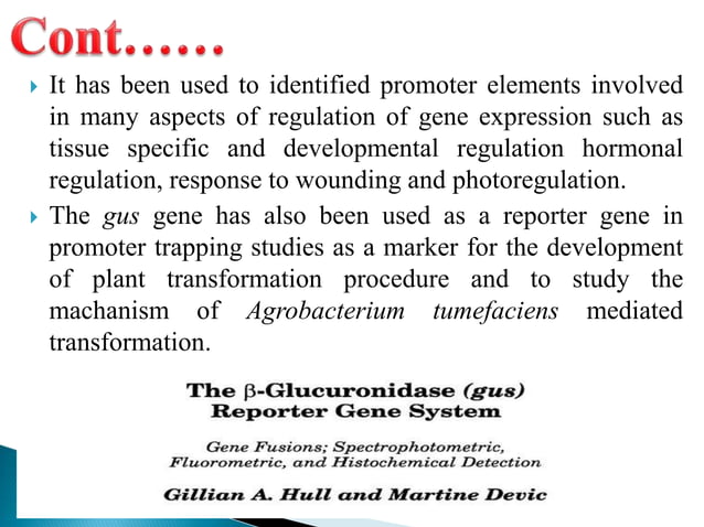 Gus staining and reporter gene | PPTX