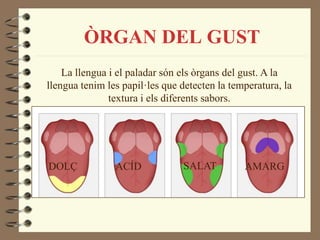 Gust | PPSX