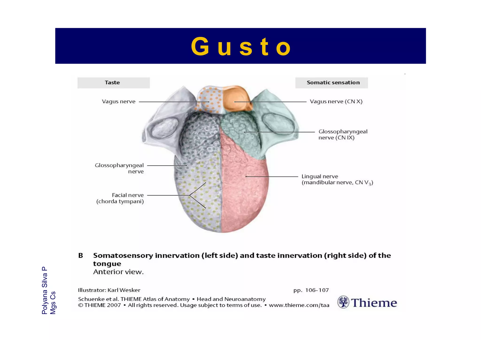 Gusto | PDF