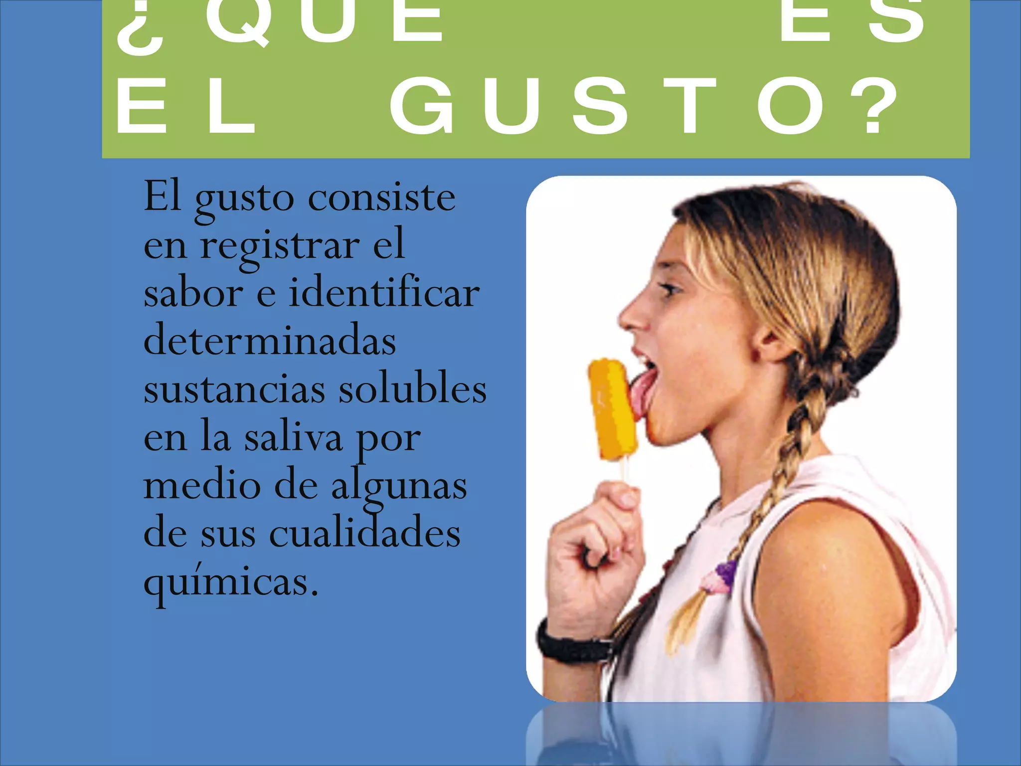 Sentido del Gusto | PPT