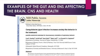Gut-brain-connection powerpoint presentation | PDF | Digestive ...