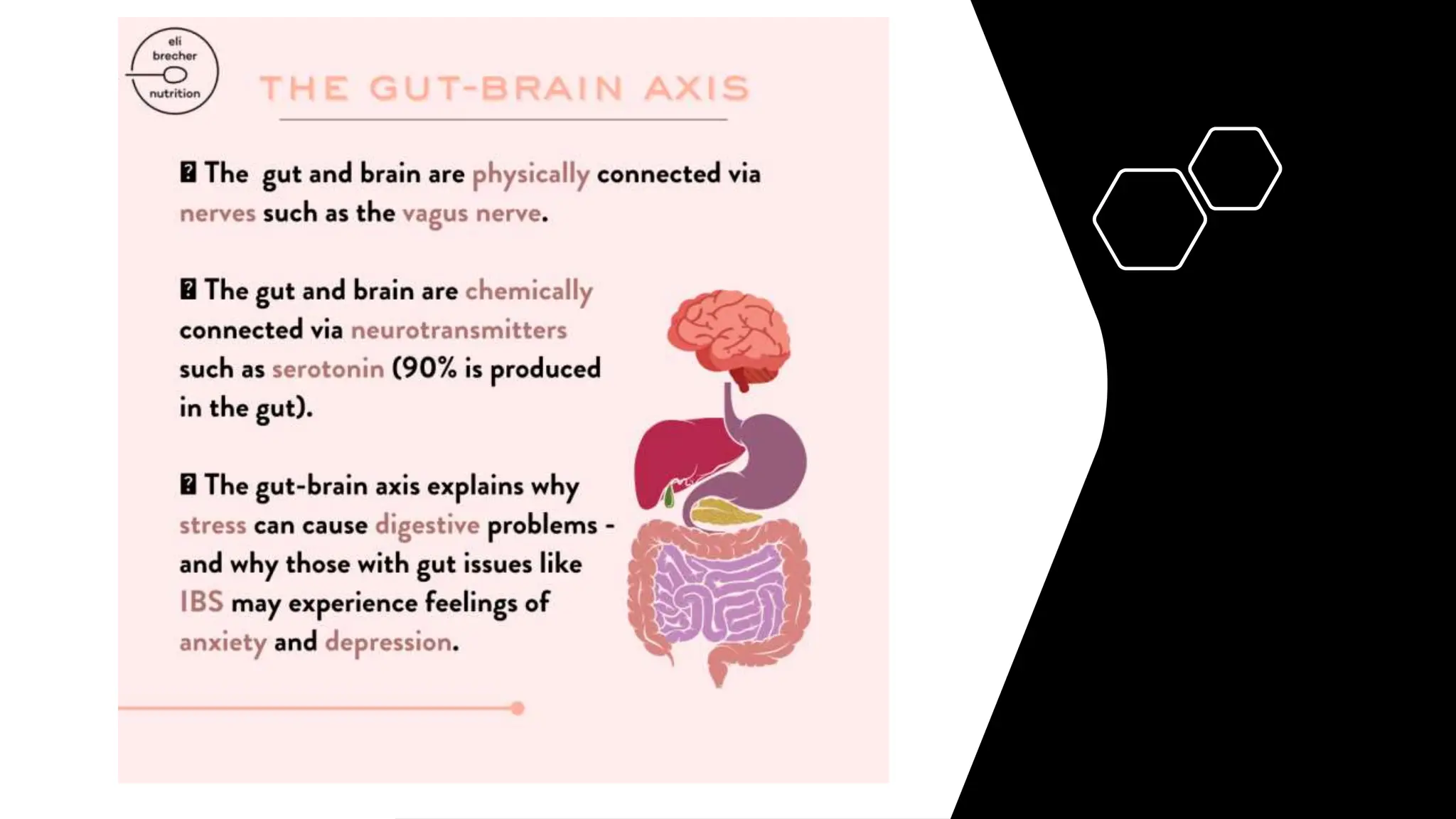 Gut-brain axis.pptx bidirectional communication | PPTX