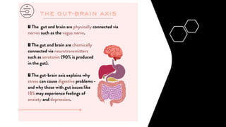 Gut-brain axis.pptx bidirectional communication | PPTX